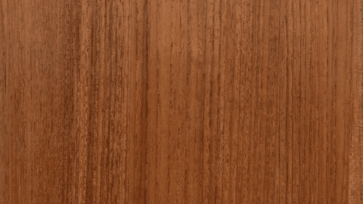 Best Warm Wood Tones and Combinations in Interior Design - A Diamond in ...